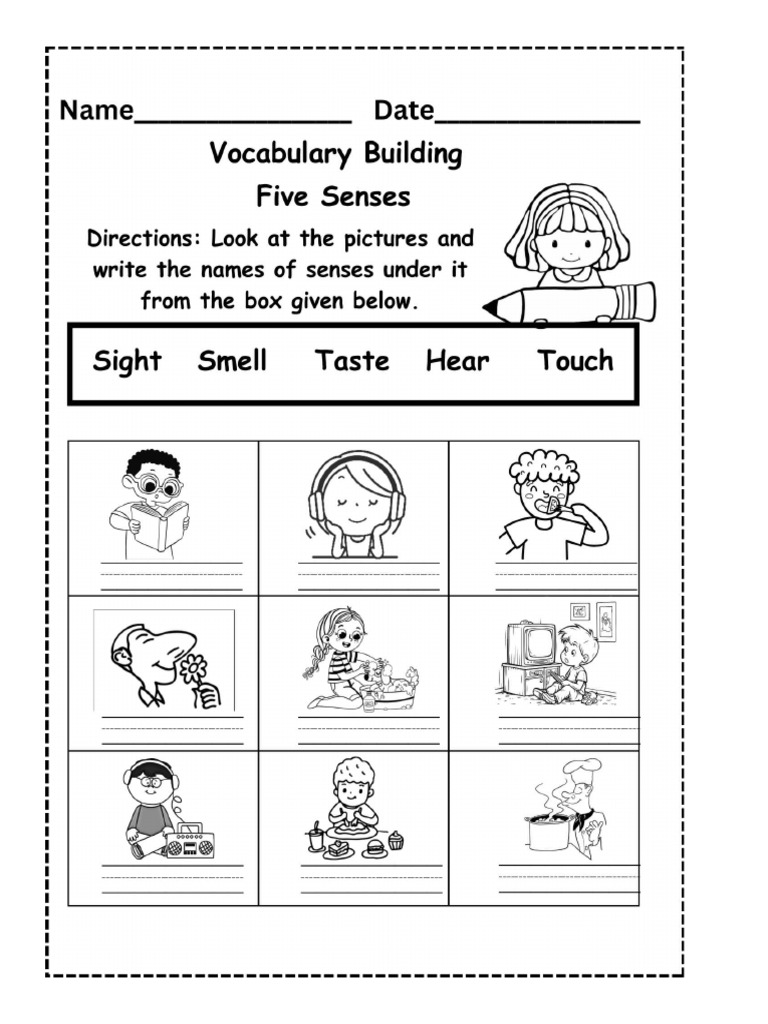 Year 1 Science Revision | PDF