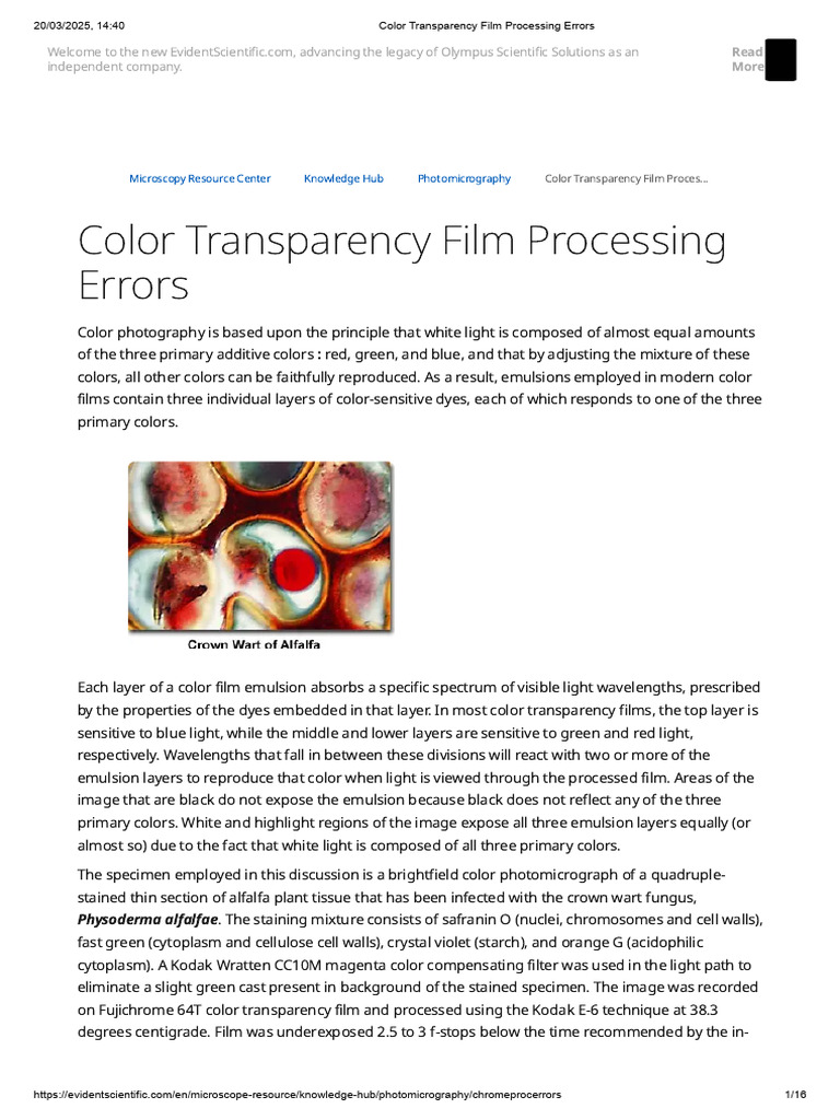 Color Transparency Film Processing Errors - Processo E6 | PDF ...