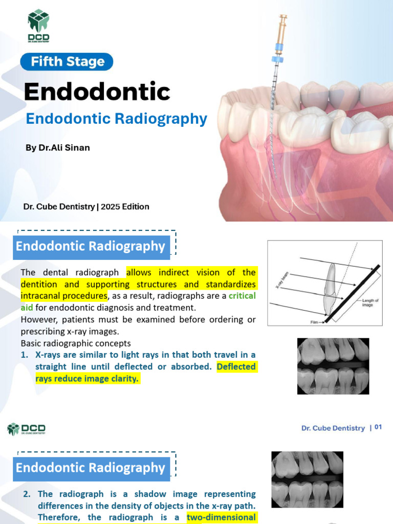 Endo5 Lec.3 Endodontic Radiograph.p | PDF | Radiography | Dentistry ...