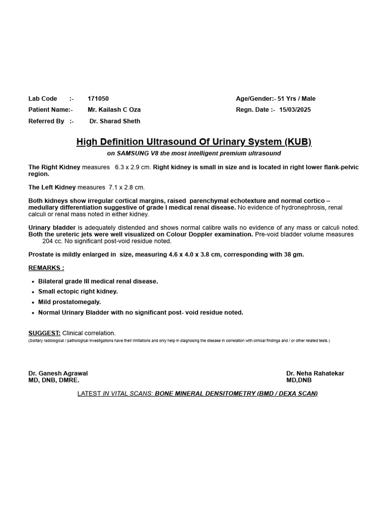 High-Def Ultrasound Report: Urinary System | PDF