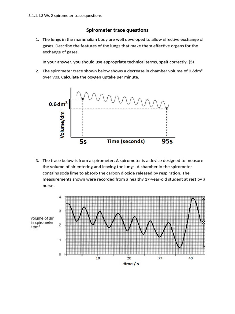 3.1.1 L3 Ws 2 Spirometer Trace Questions | PDF