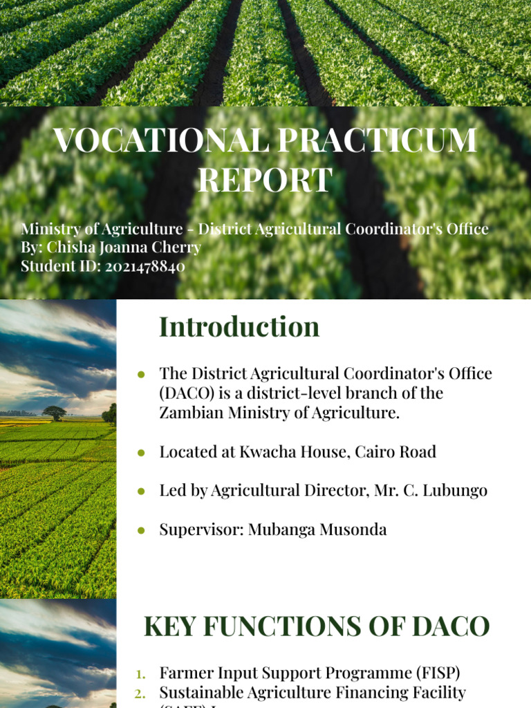 Vocational Practicum Report - Chisha Joanna Chisha | PDF | Agriculture | Farms