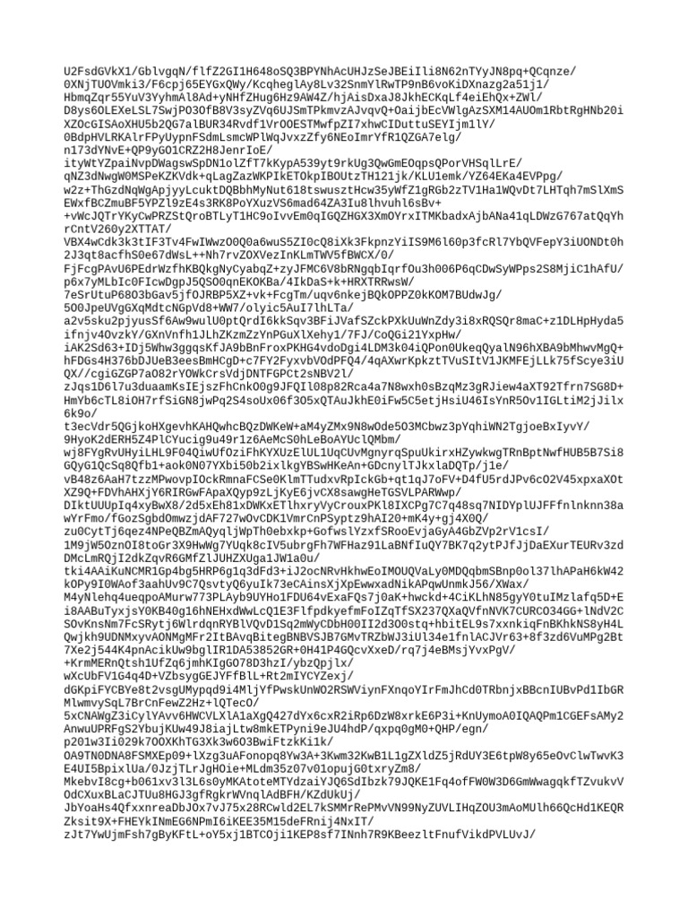 2025 03 19 17 09 Guarda Backup | PDF