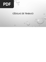 Ejemplos de Cédula Sumaria y Ajustes | PDF