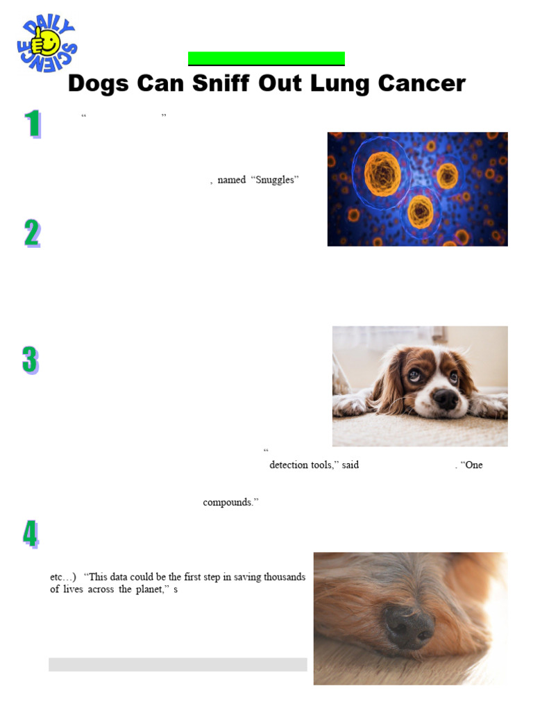 Daily Science 48 - Dogs Smell Cancer (Biology) | PDF | Olfaction | Brain