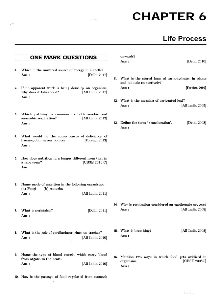 Life Processes Online Pyq. | PDF