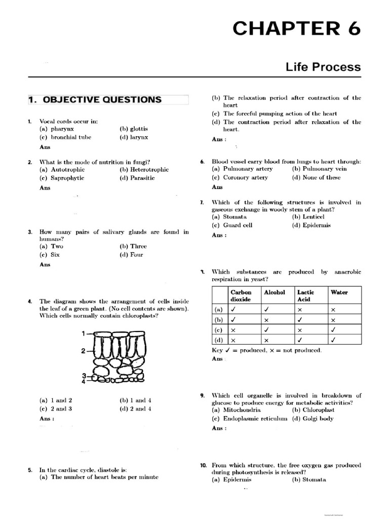 Life Processes Online Obj. | PDF