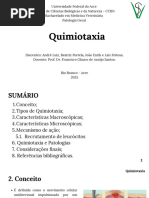Entendendo a Quimiotaxia | PDF | Quimiotaxia | Sistema imunológico