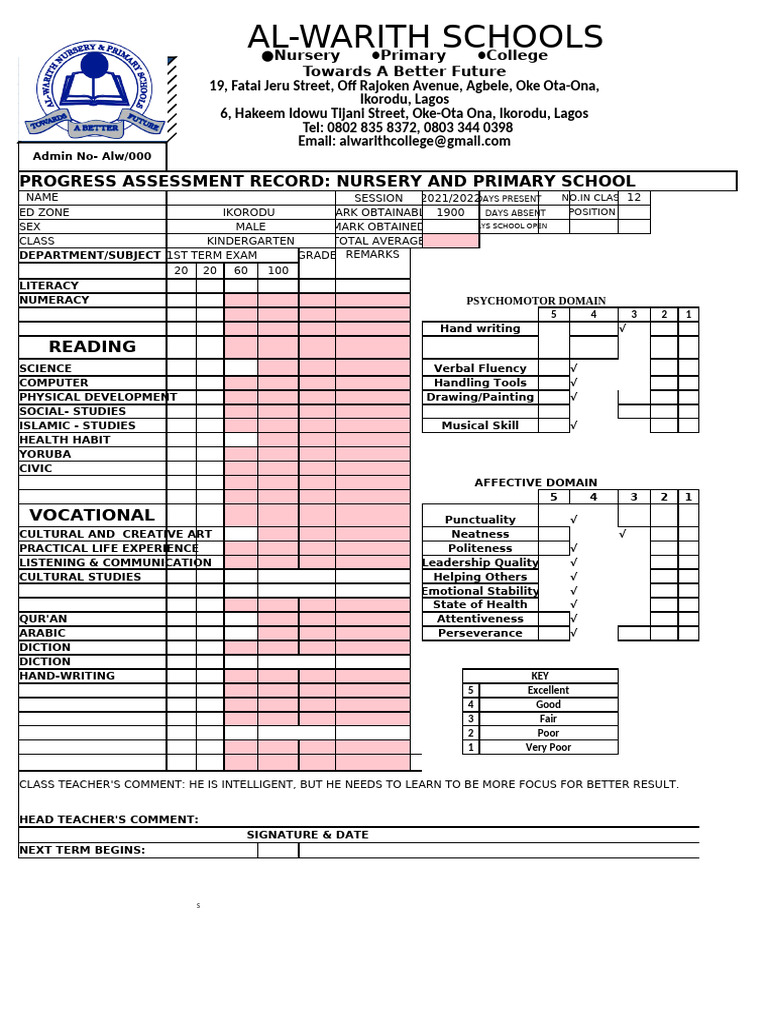 Nursery and Primary Progress Report | PDF | Intelligence | Cognition