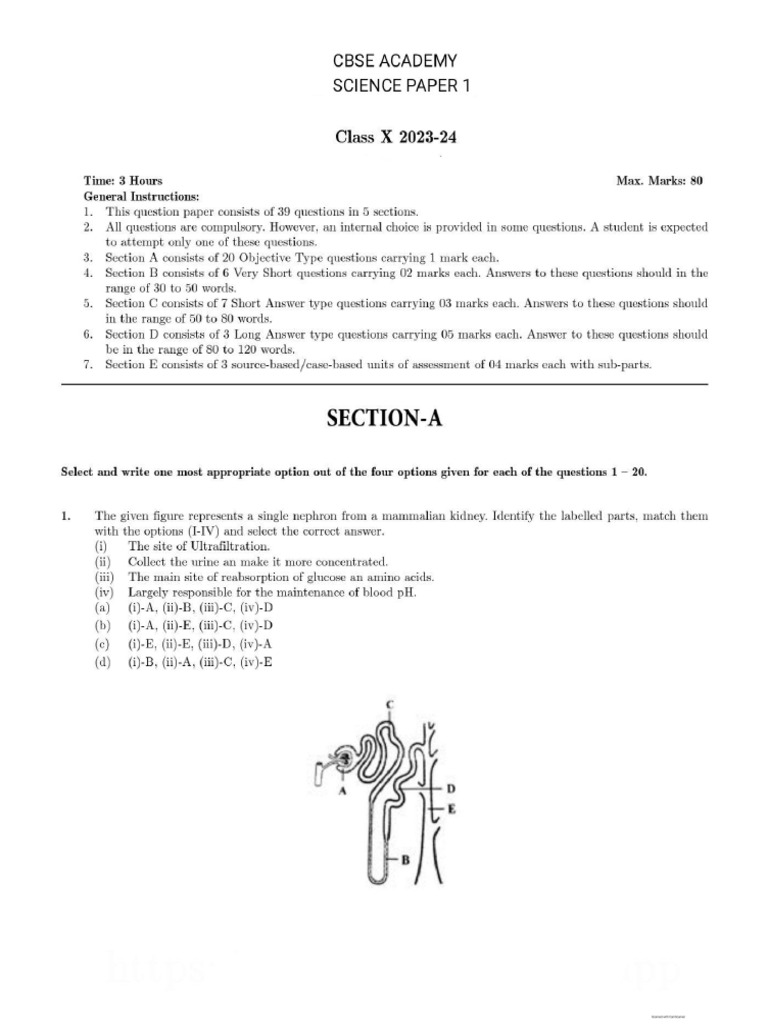 SC Sample Paper 1 Unsolved | PDF