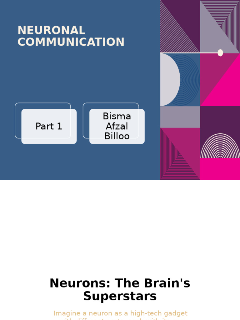 Neuronal Communication | PDF | Neuron | Axon