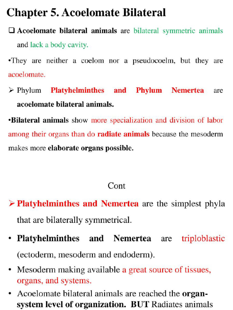 Chapt 5 Invertebrate Note | PDF