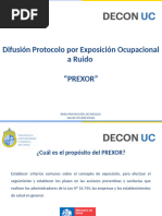 Protocolo Prexor Informe | PDF | ruido