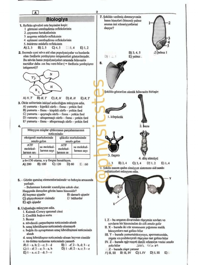 4 Cu Qrup DİM Sınaq 16 Mart 2025 | PDF