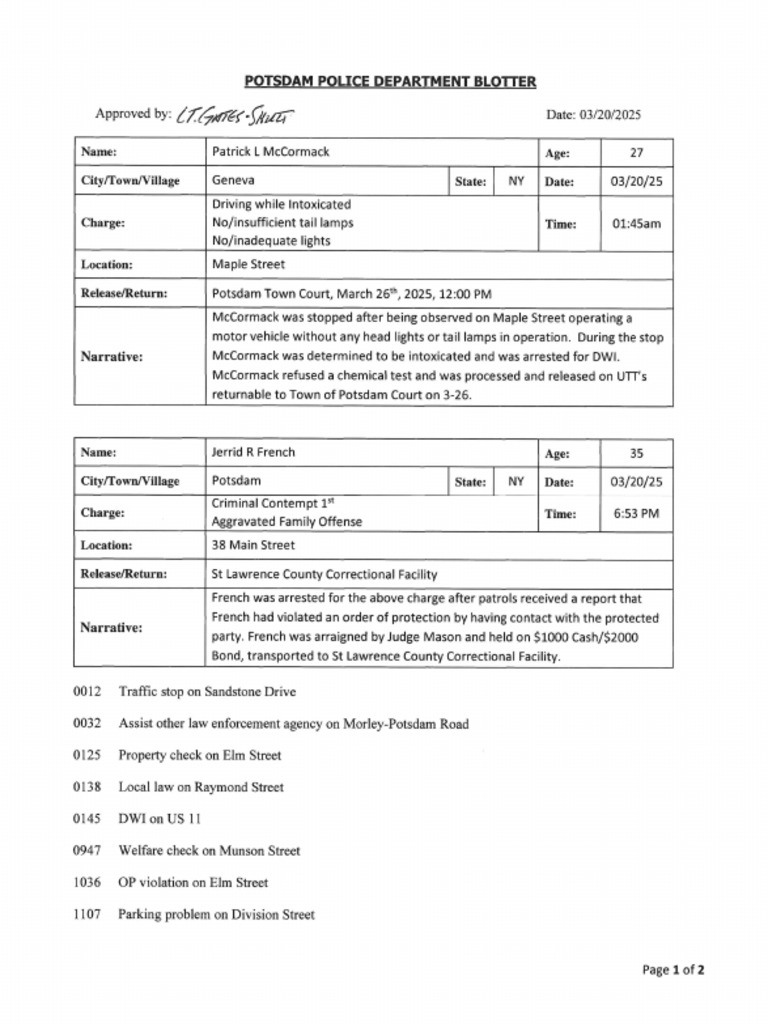 Potsdam Village Police Dept. Blotter March 20, 2025 | PDF