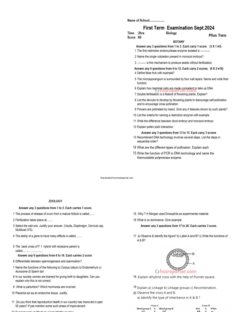 Biology 01 (English Version) - Hssreporter - Com | PDF | Fertilisation ...