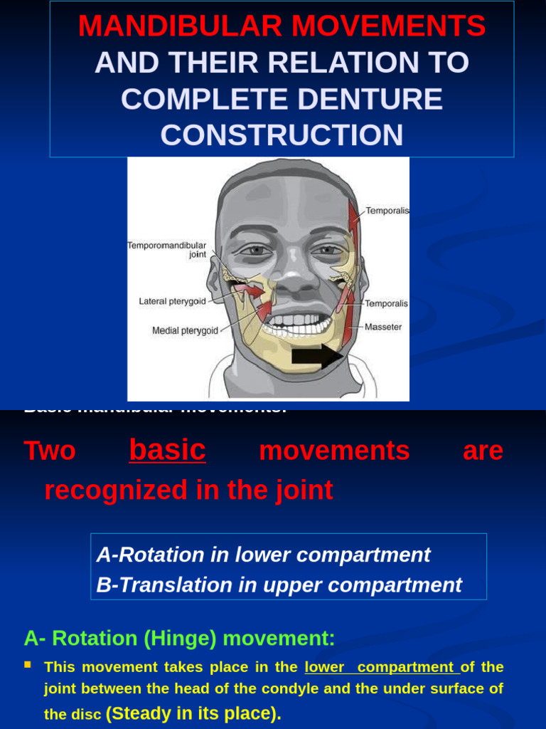 Mandibular Movements Modified | PDF