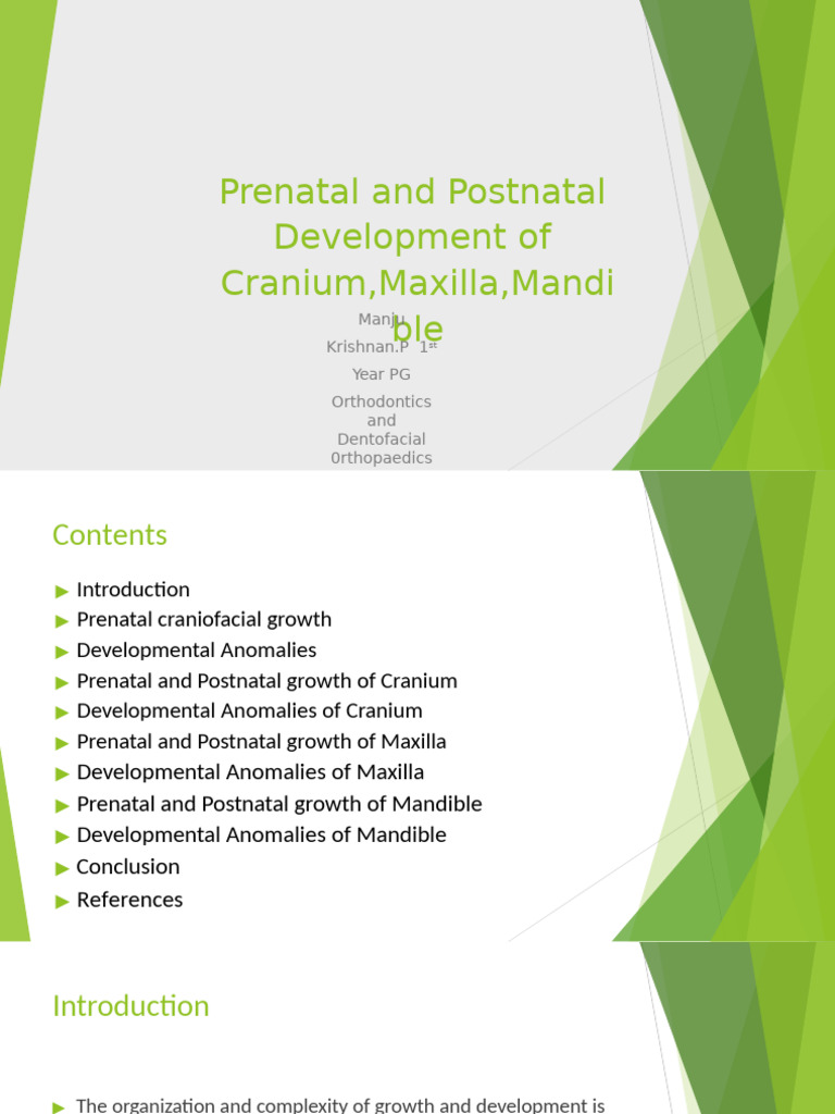 Craniofacial Development Overview | PDF | Skull | Human Head And Neck