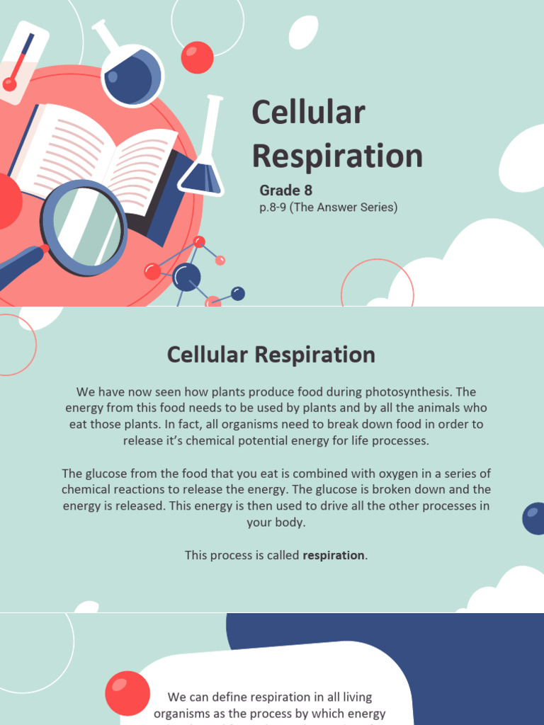 Gr8 Cellular Respiration | PDF | Cellular Respiration | Glucose