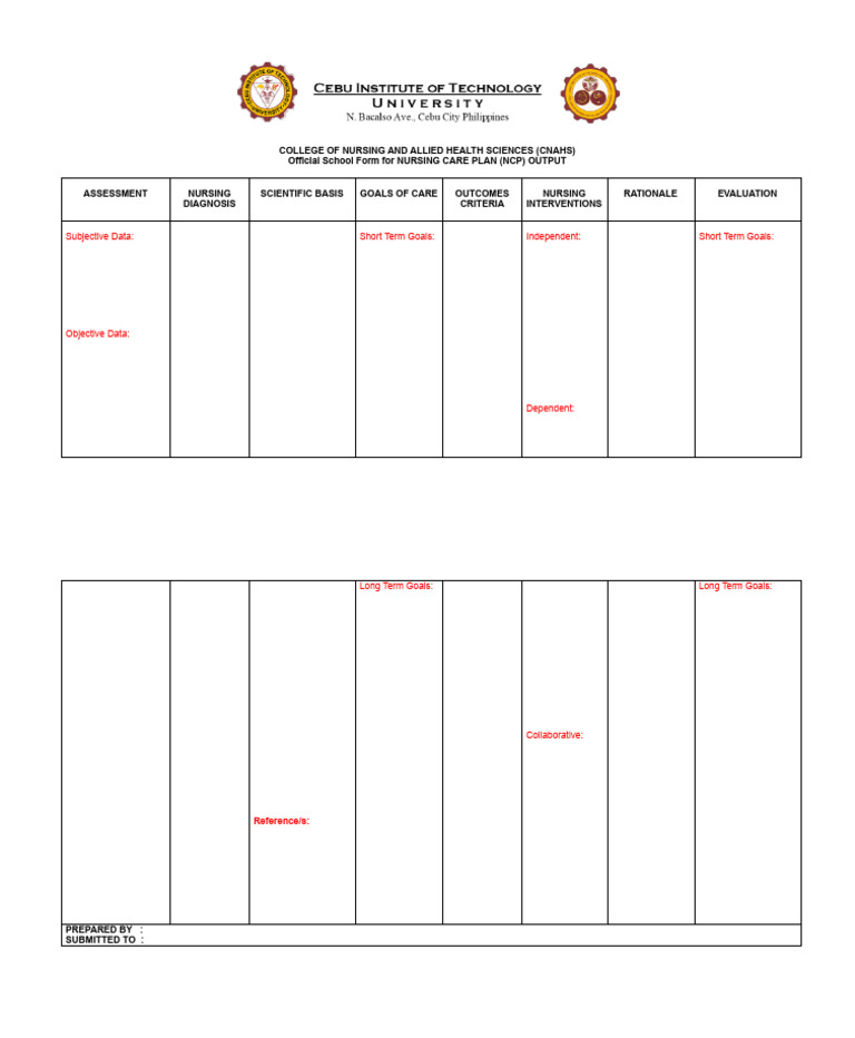 NCP - Nursing Care Plan Template | PDF
