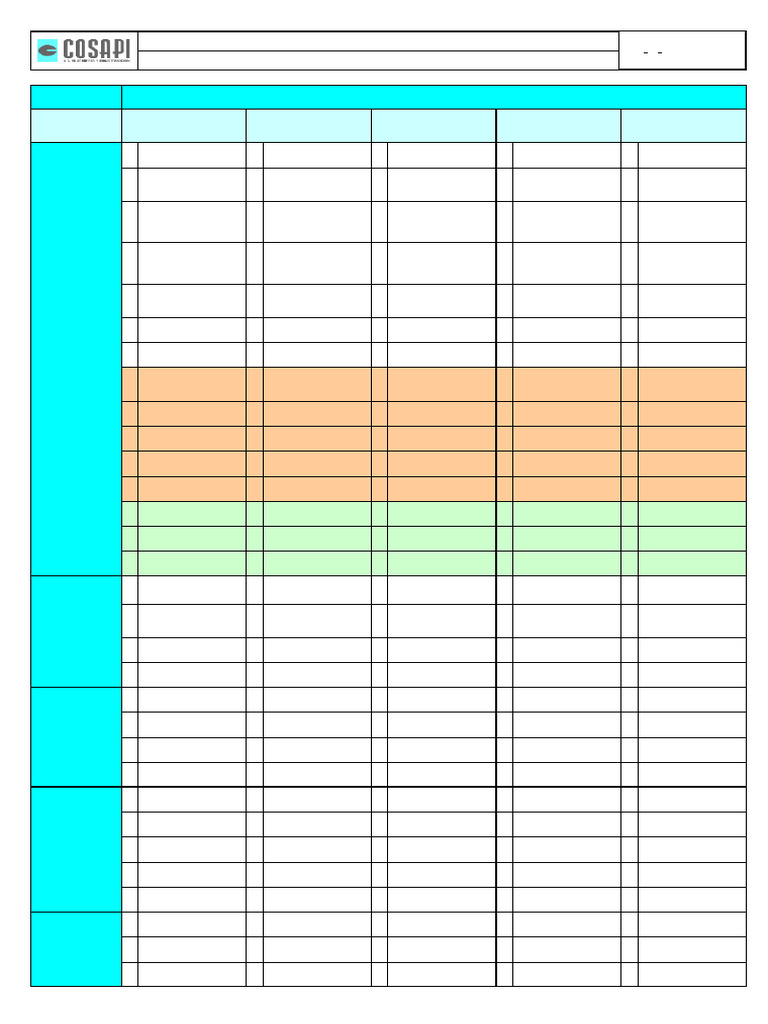 COSAPI | PDF | Gestión de proyectos | Auditoría