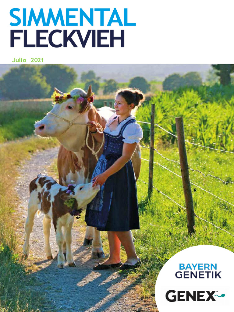 Índices de mérito en Fleckvieh y Simmental | PDF | Vacas | Leche