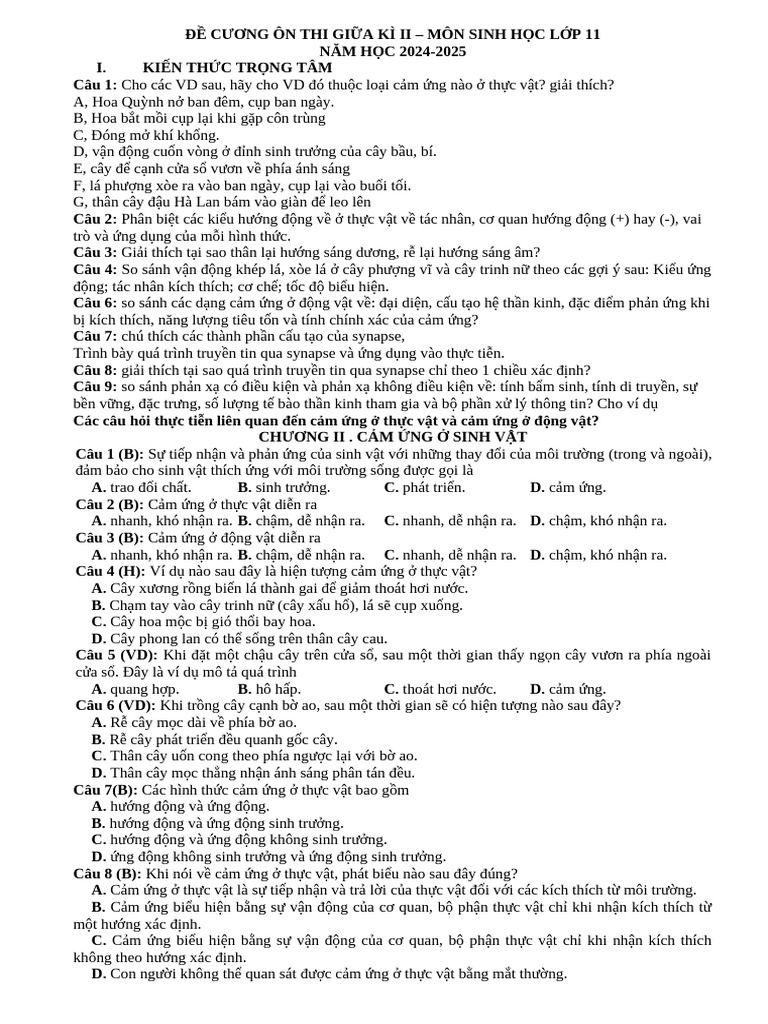 học sinh đề cương gk 2 lớp 11 2025 | PDF