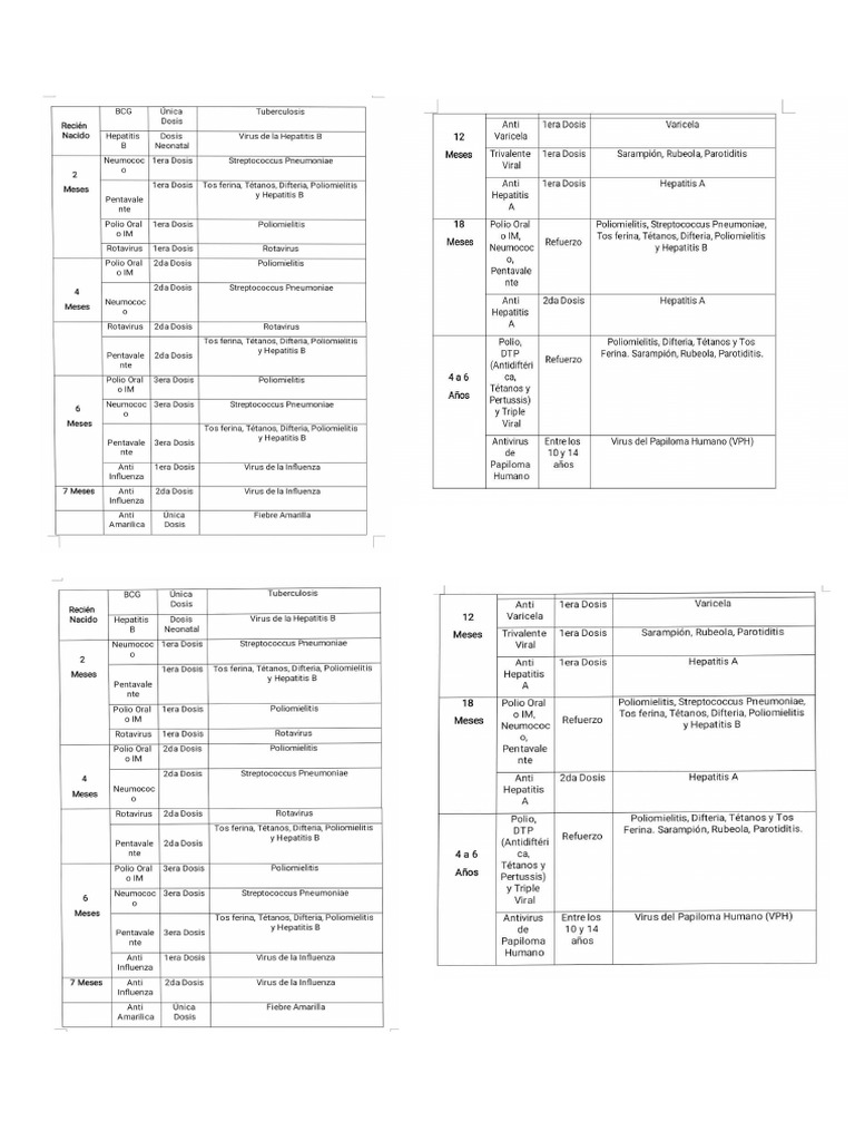 Vacunas Definitiva | PDF