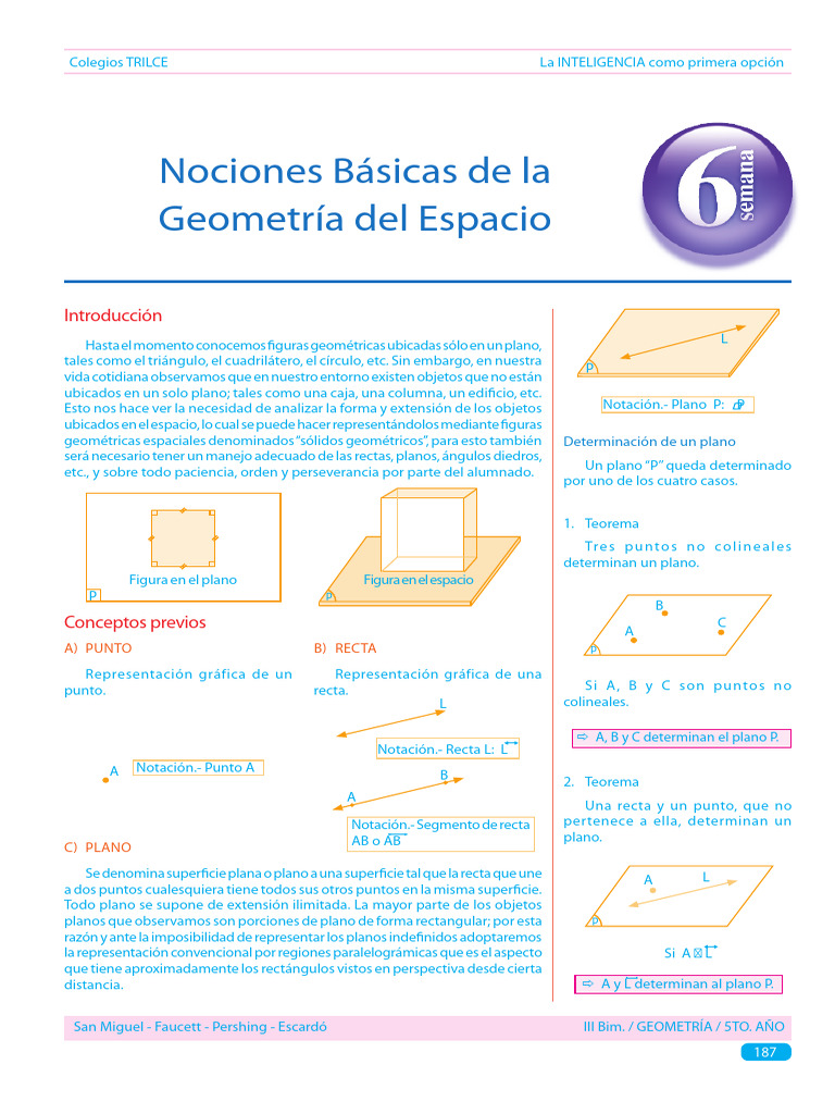 Guía 6 - Nociones Básicas de Geometría del Espacio | PDF | Perpendicular | Triángulo
