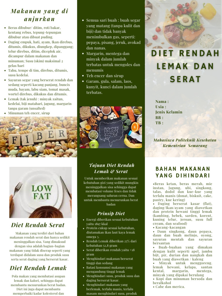Leaflet Diet Rendah Serat | PDF