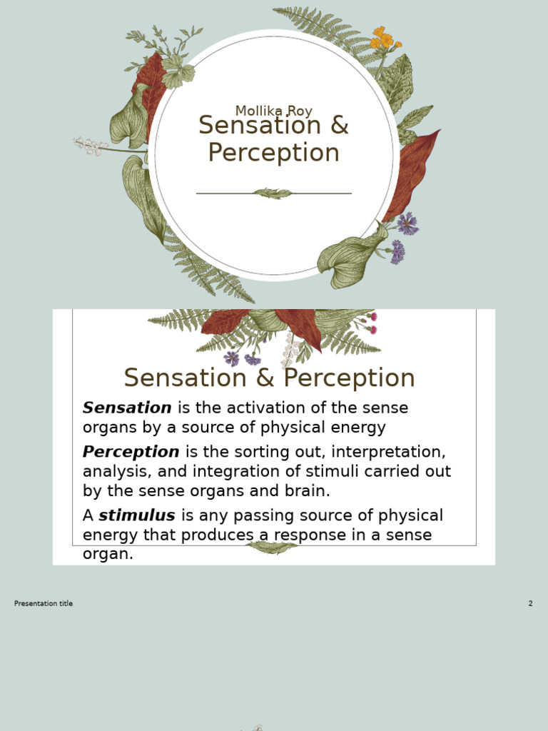 Sensation & Perception - Updated 2024 | PDF | Senses | Perception