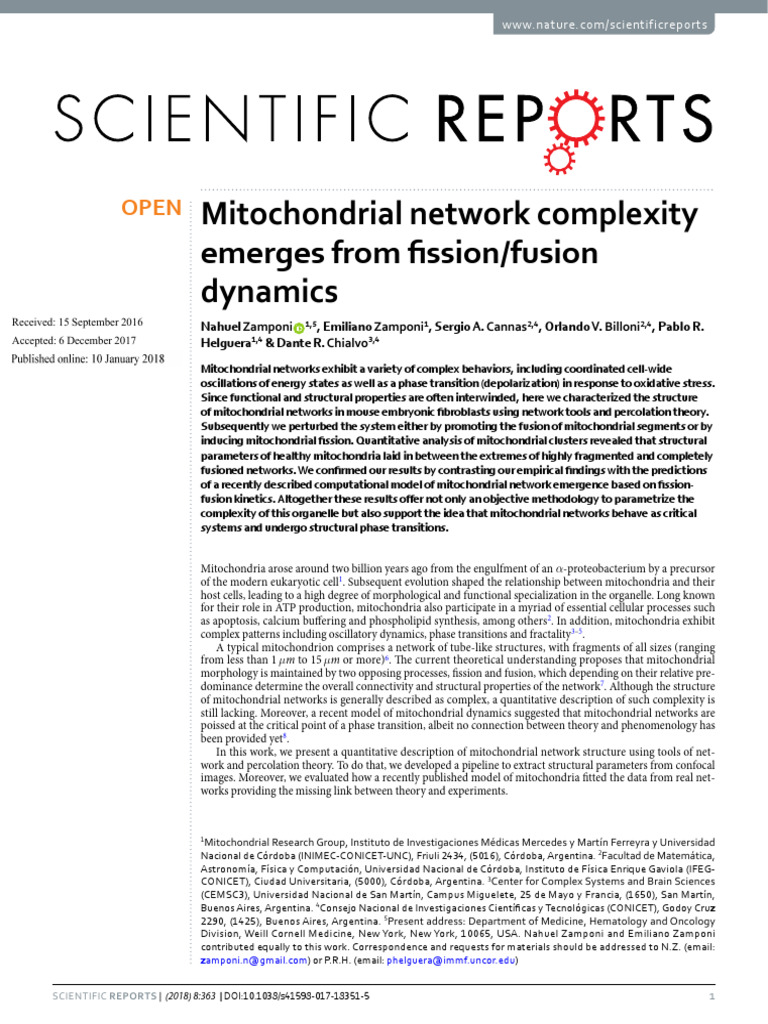 Mitochondrial Network Complexity Emerges From Fissionfusion Dynamics ...