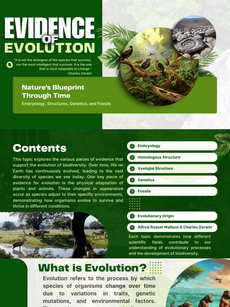 Evidence of Evolution G10 | PDF | Evolution | Homology (Biology)