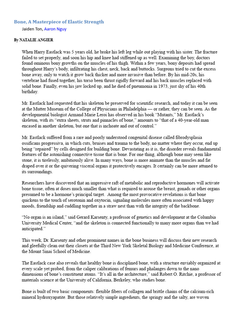 Bone - A Masterpiece of Elastic Strength - Article & Discussion ...