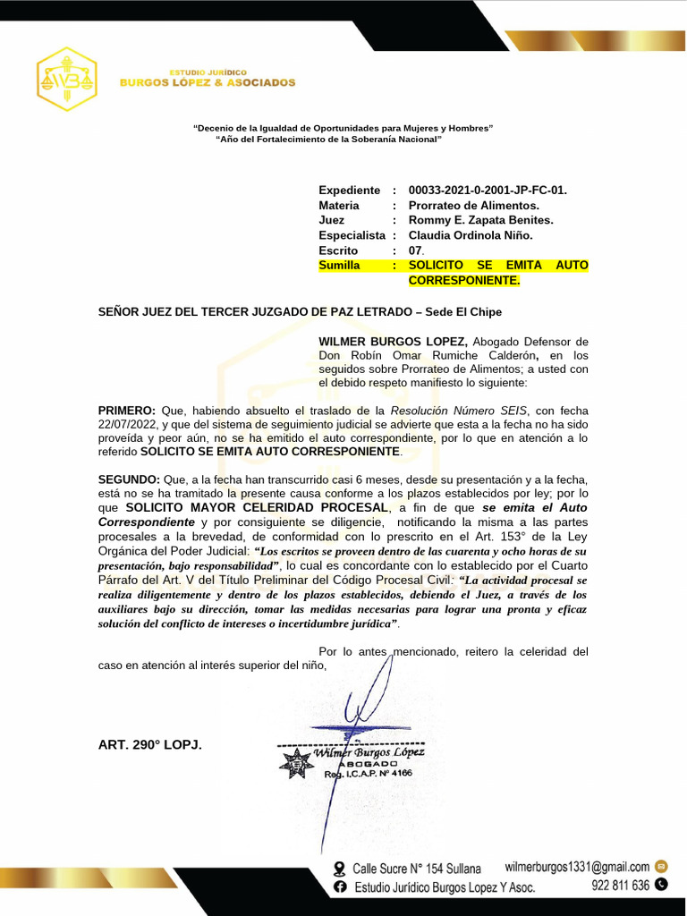 Se Emita Auto Correspondiente - Robin Rumiche Calderon | PDF ...