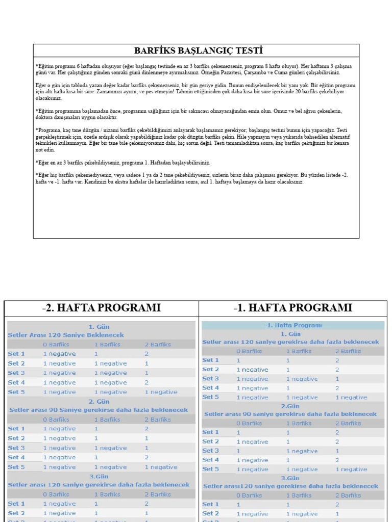 Barfi̇ks Programi | PDF