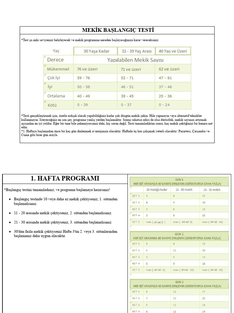 Meki̇k Programi | PDF