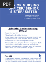 Matron Job Description - Healthcare InfoGuide | PDF | Nursing | Hospital