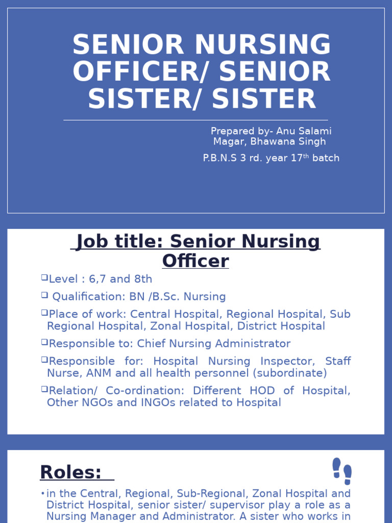 Senior Nursing Officer Job Description | PDF