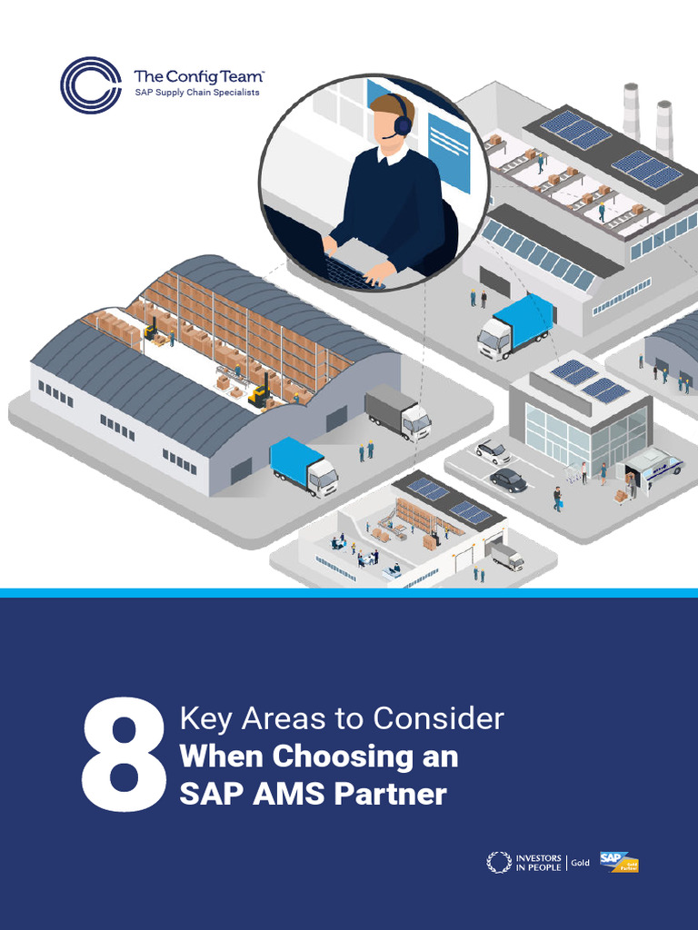 What to Look for in an SAP AMS Partner | PDF | Expert | Business