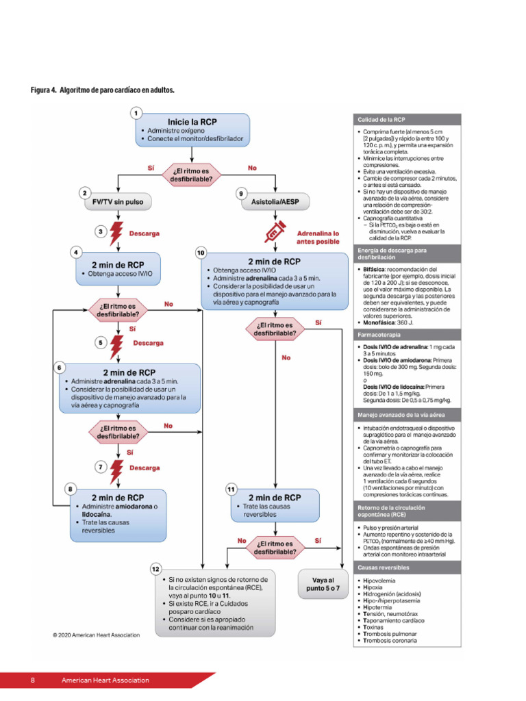 Algoritmos AHA 2020 para Paro Cardíaco | PDF