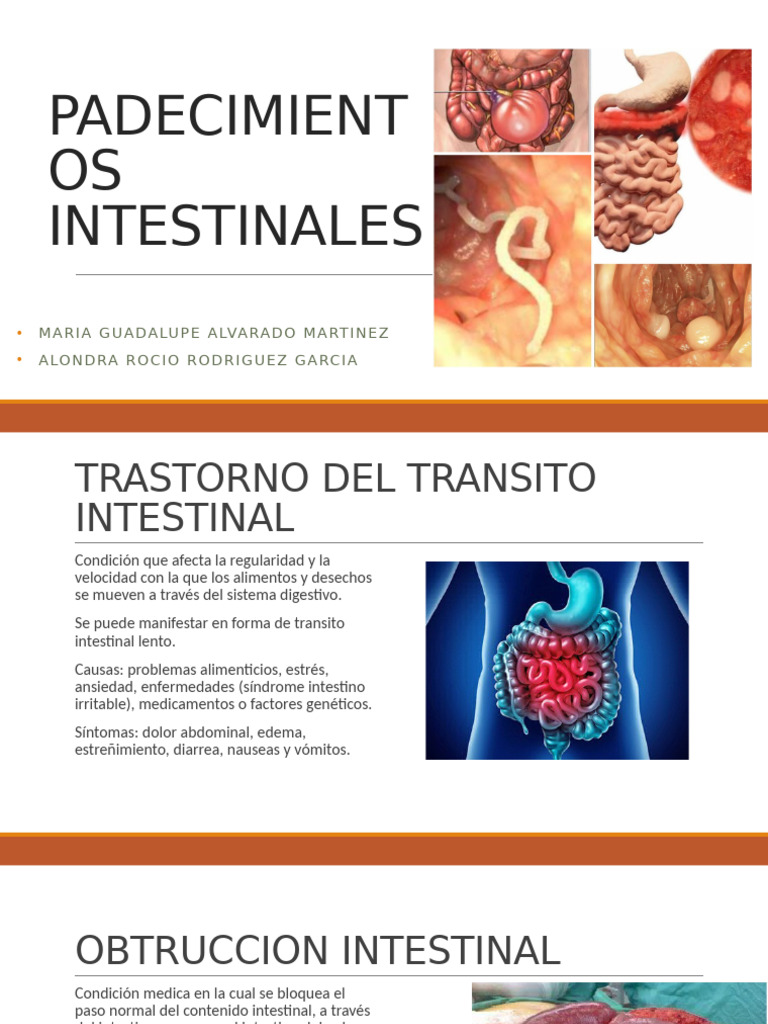 Trastornos Intestinales | PDF | Diarrea | Enfermedad inflamatoria ...