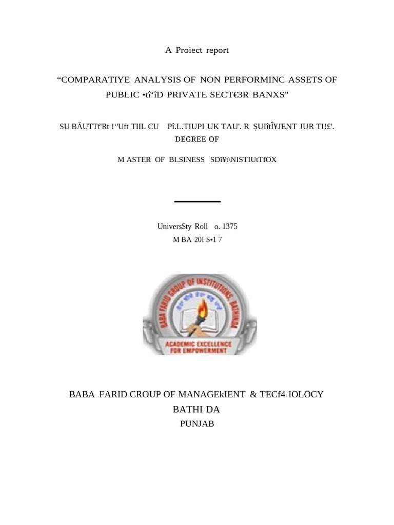 npa final | PDF