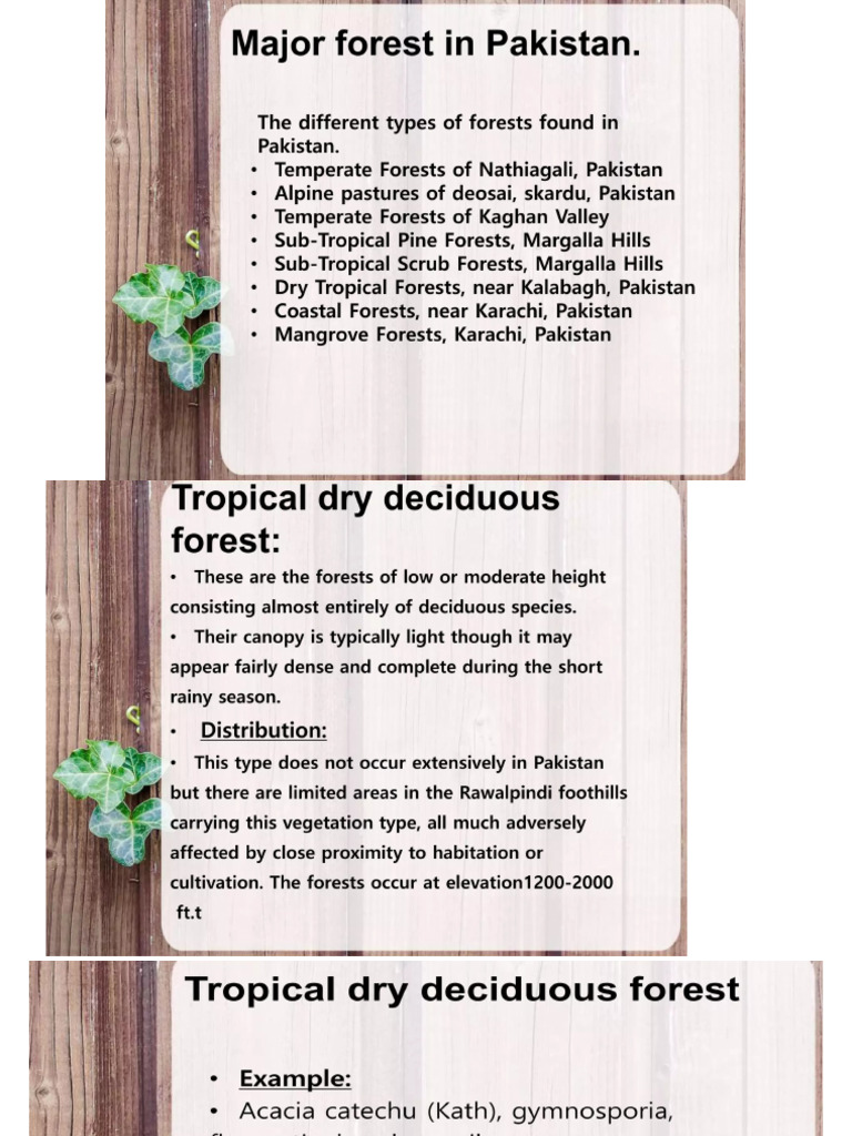 Forest types of Pakistan | PDF