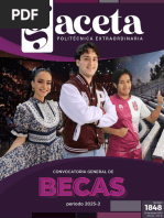 Lineamientos Beifi | PDF