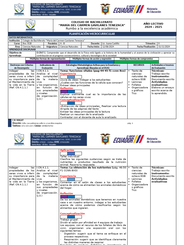 Planif Micro CCNN 8vo 2do Trim 2024-2025 | PDF | Sentidos | Tejido (biología)