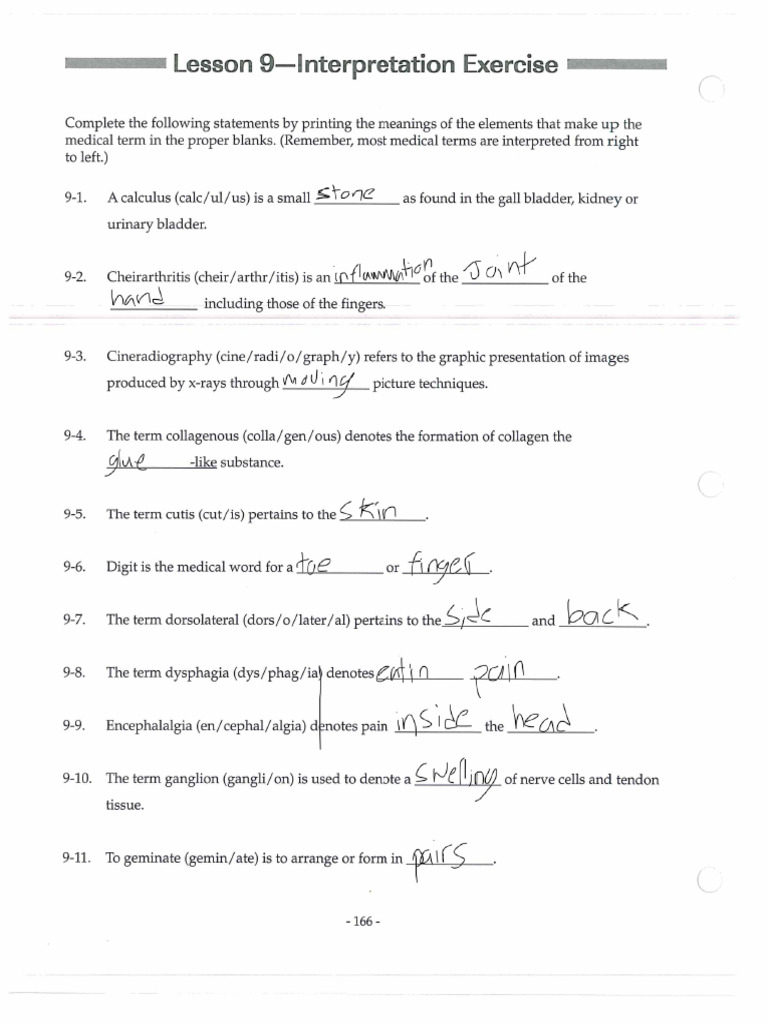 DV Lesson 9 Worksheet Two | PDF