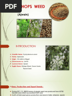 Red Hive Guide (v2.1) | PDF | Bees | Beehive