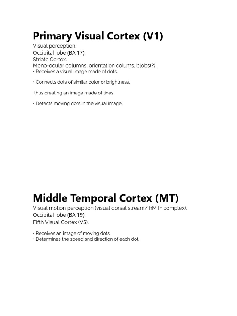 Primary Visual Cortex Josue Pdf