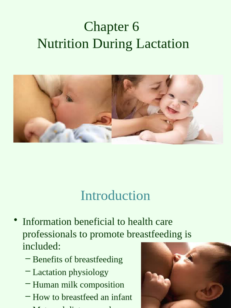 Chapter 6 - Nutrition During Lactation | PDF | Lactation | Breast Milk